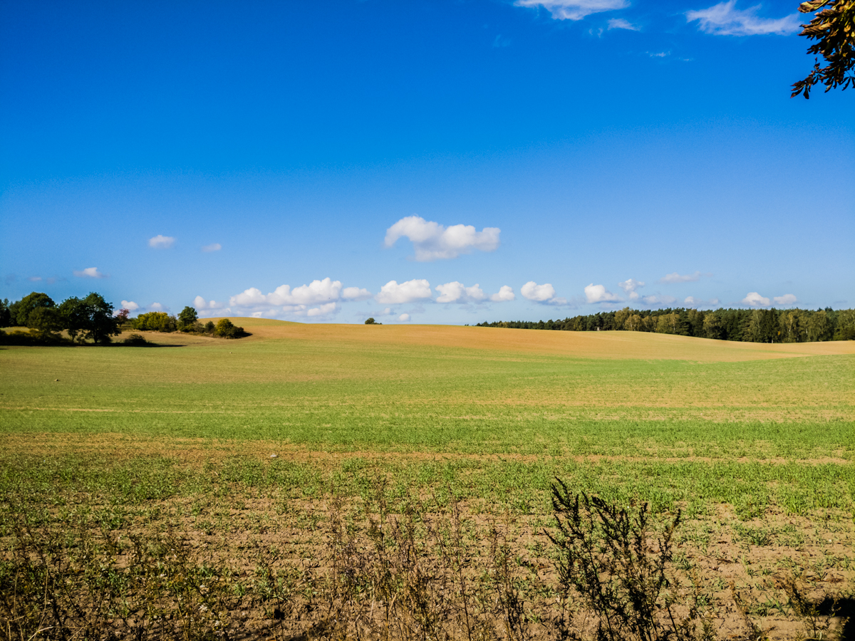 Aufstieg auf den Dachsberg | Mit Vergnügen Berlin