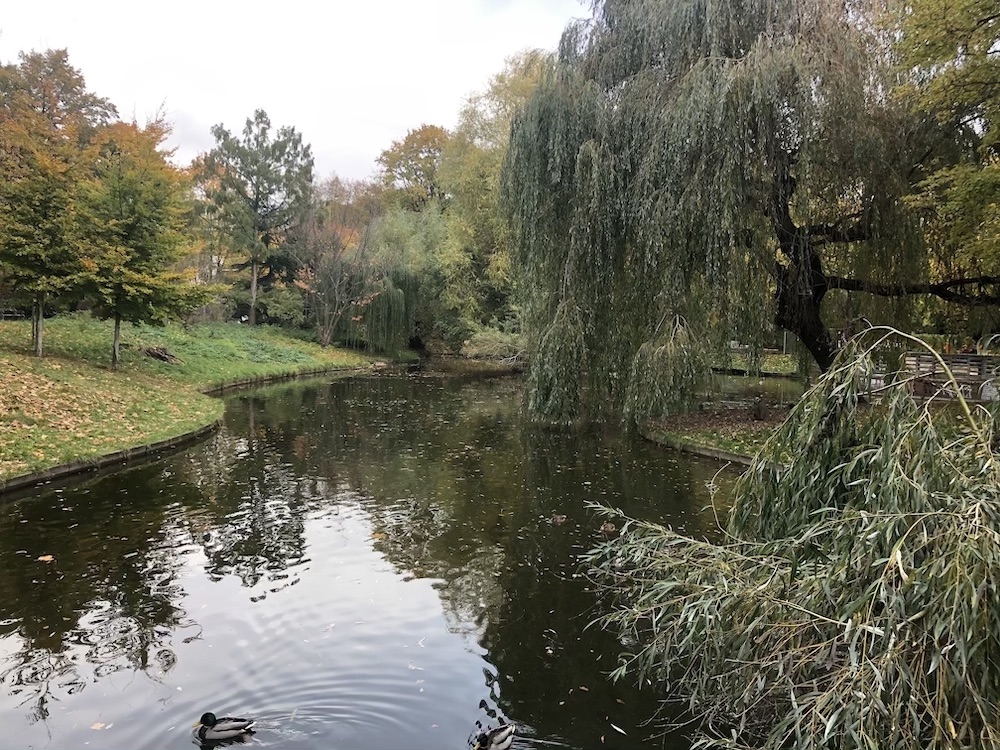 Kiez und Kultur im Stadtpark Lichtenberg | Mit Vergnügen Berlin
