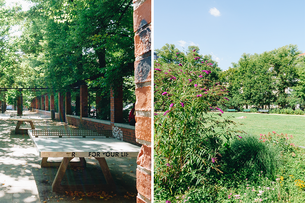 Auf dem Arkonaplatz im Grünen entspannen und Tischtennis spielen | Mit ...